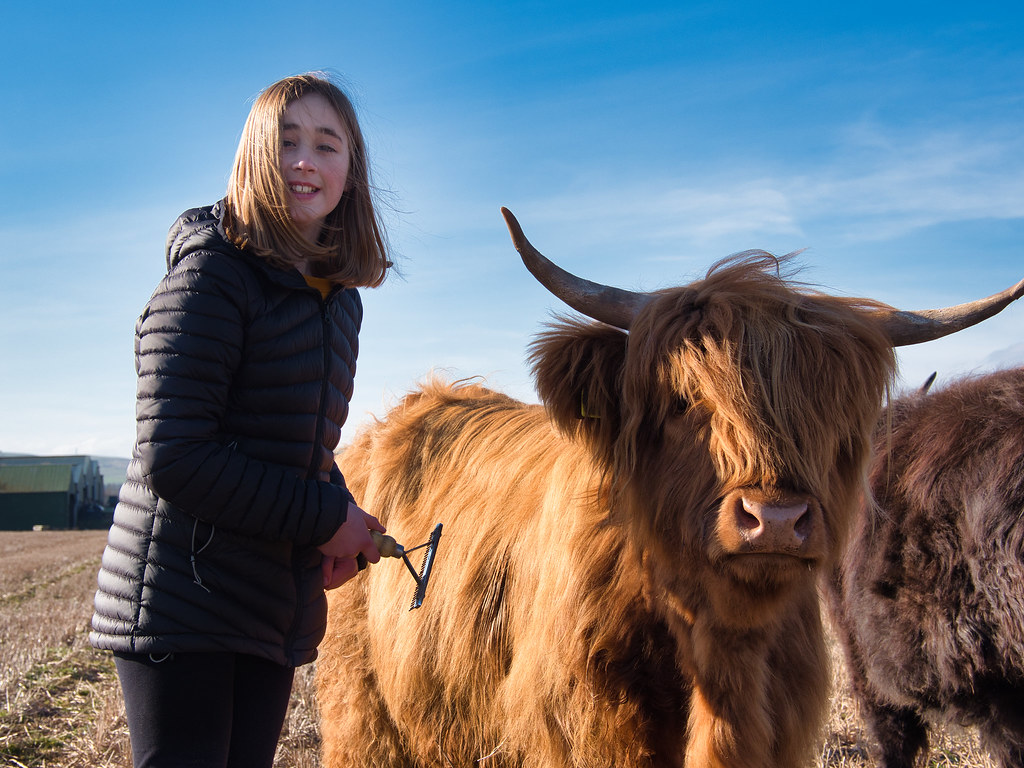 Newton Farm Tours | Go-Rural