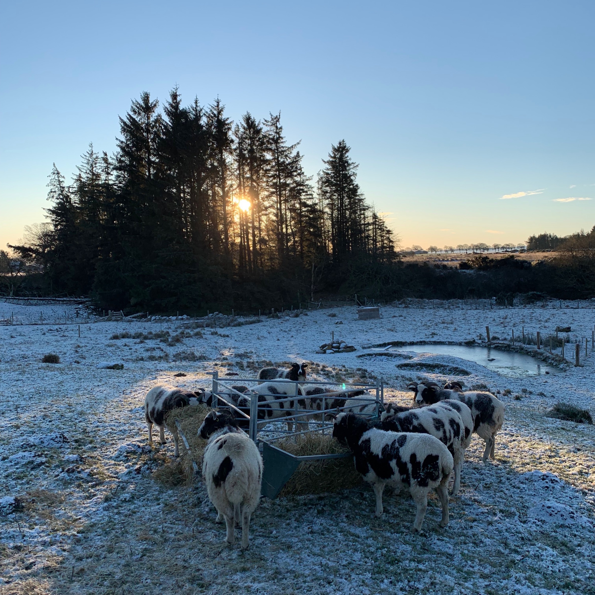 Burmieston Farm & Steading | Go-Rural