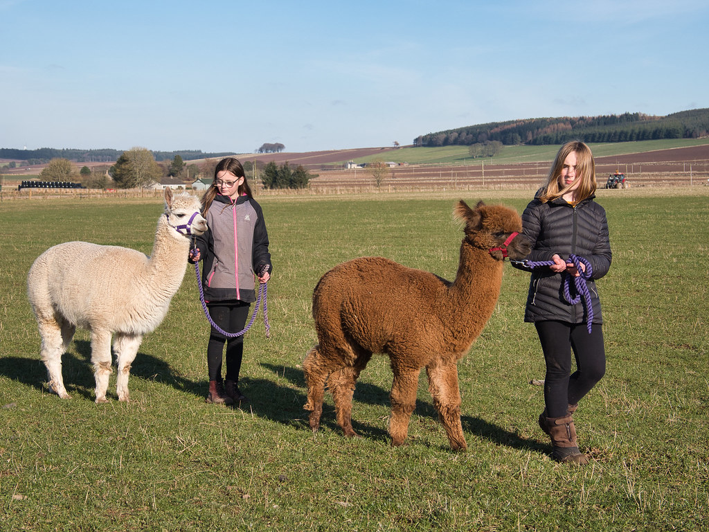 Newton Farm Tours | Go-Rural
