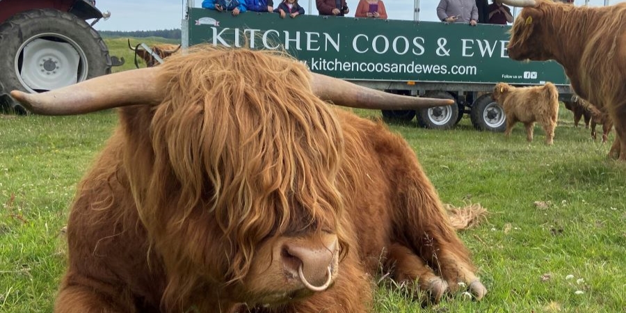 Go Rural from Stranraer | Go-Rural