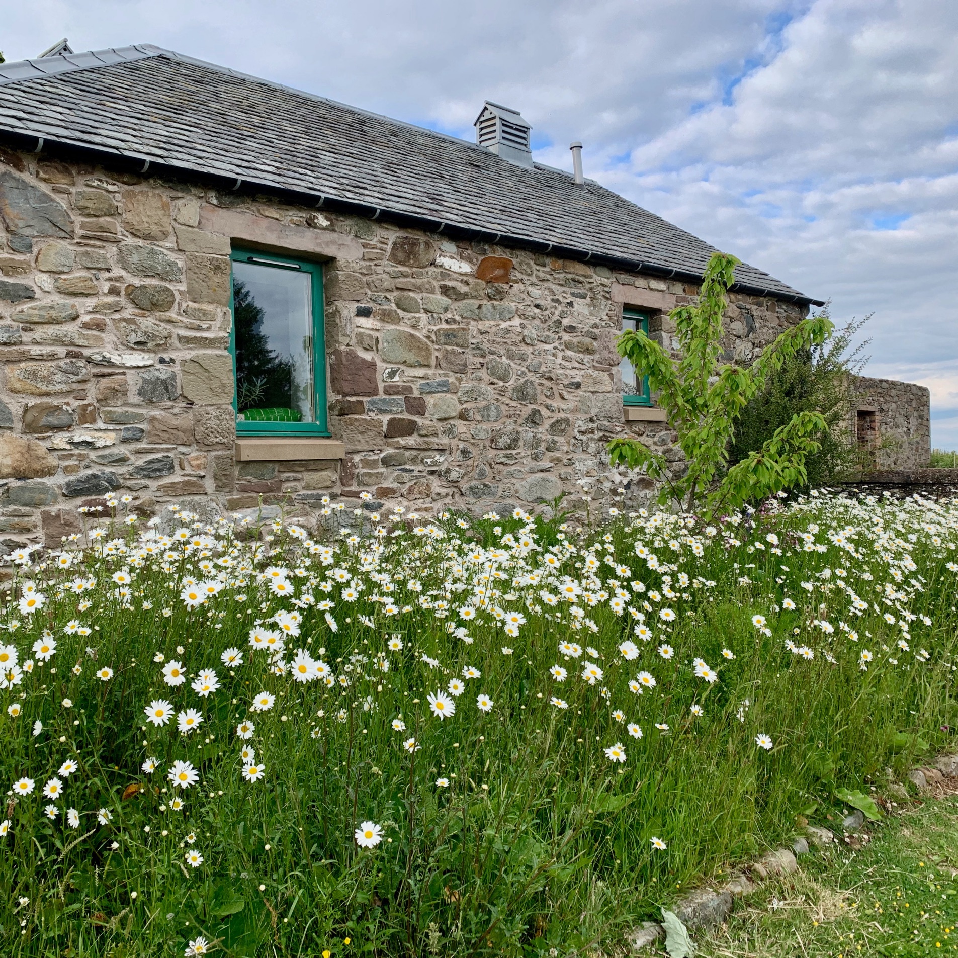 Burmieston Farm & Steading | Go-Rural