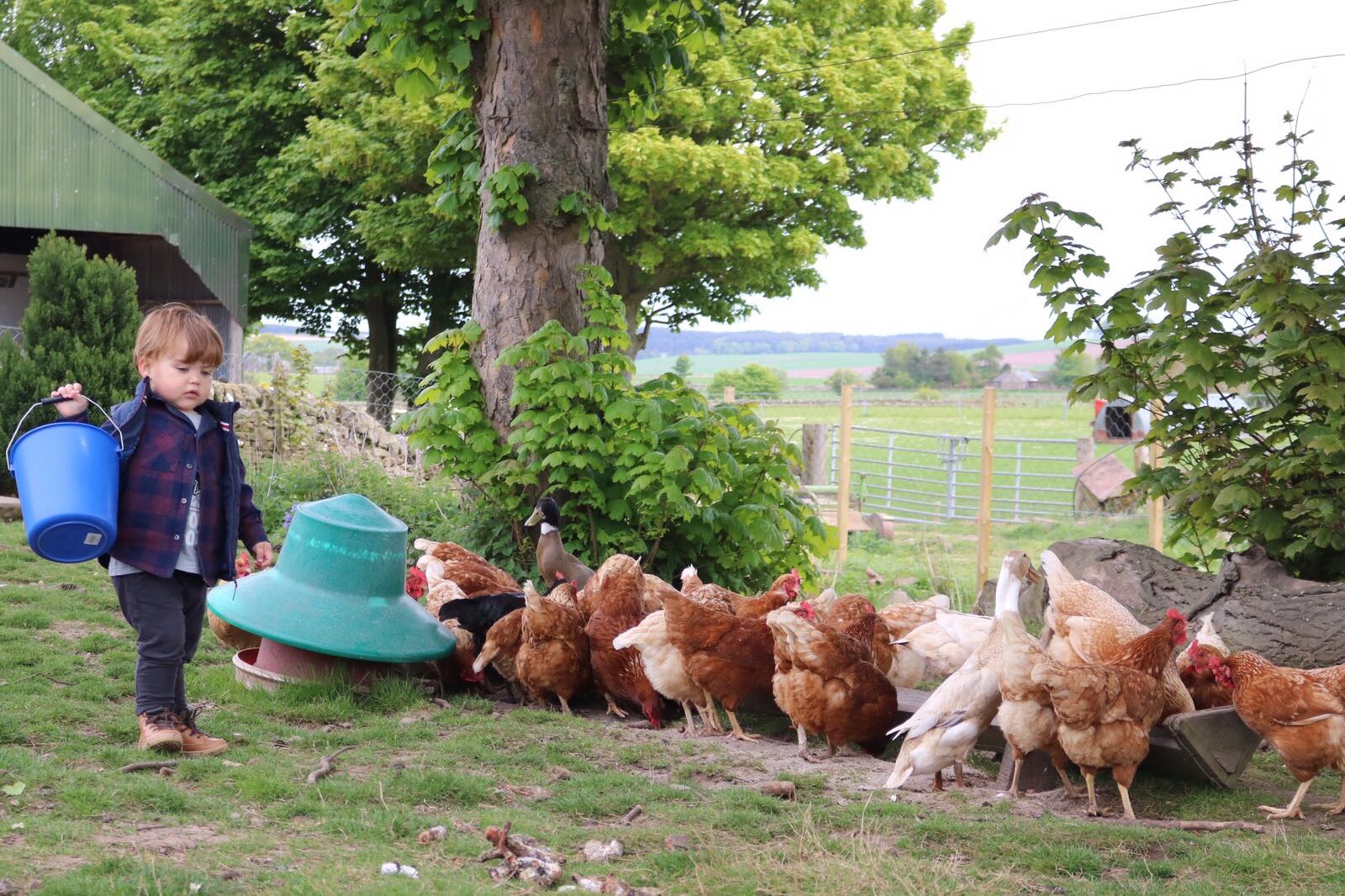 Newton Farm Tours | Go-Rural