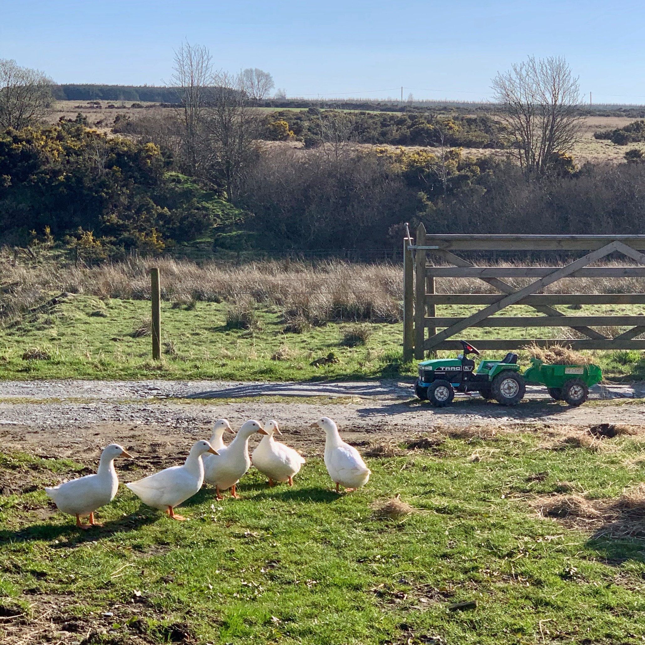 Burmieston Farm & Steading | Go-Rural