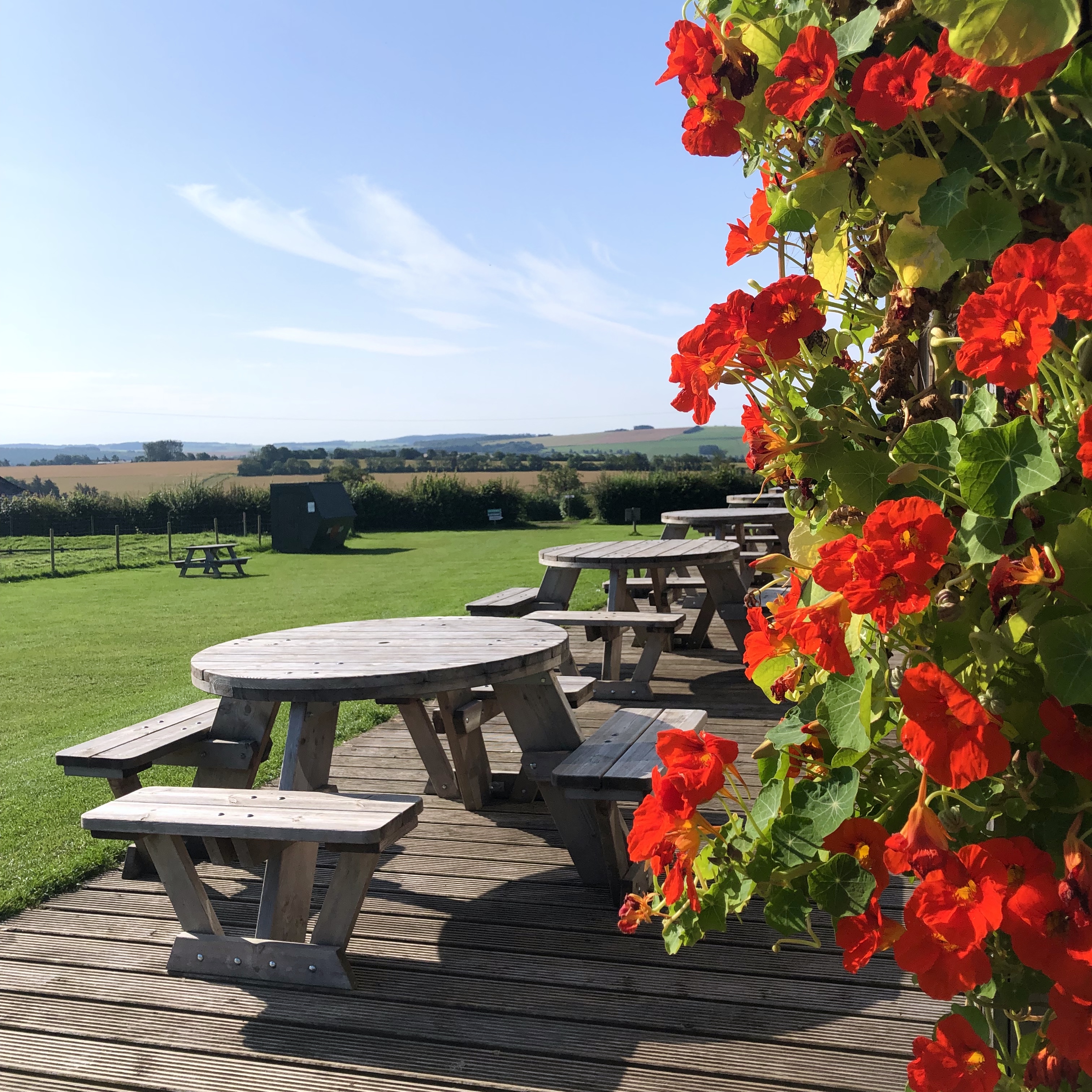 Cairnie Fruit Farm & Mega Maze - Farm Cafe | Go-Rural