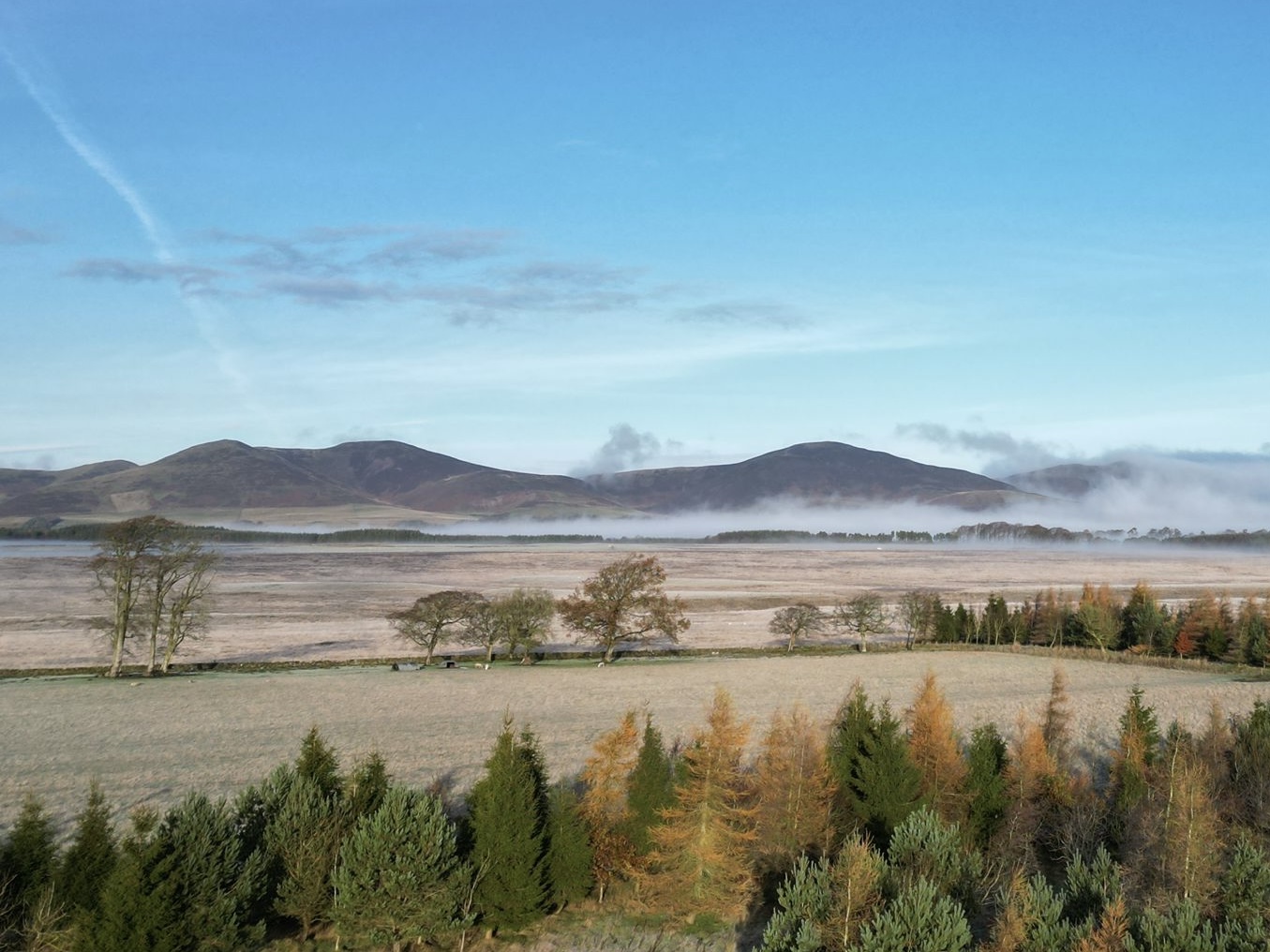 Springfield Farm Holiday Pods | Go-Rural