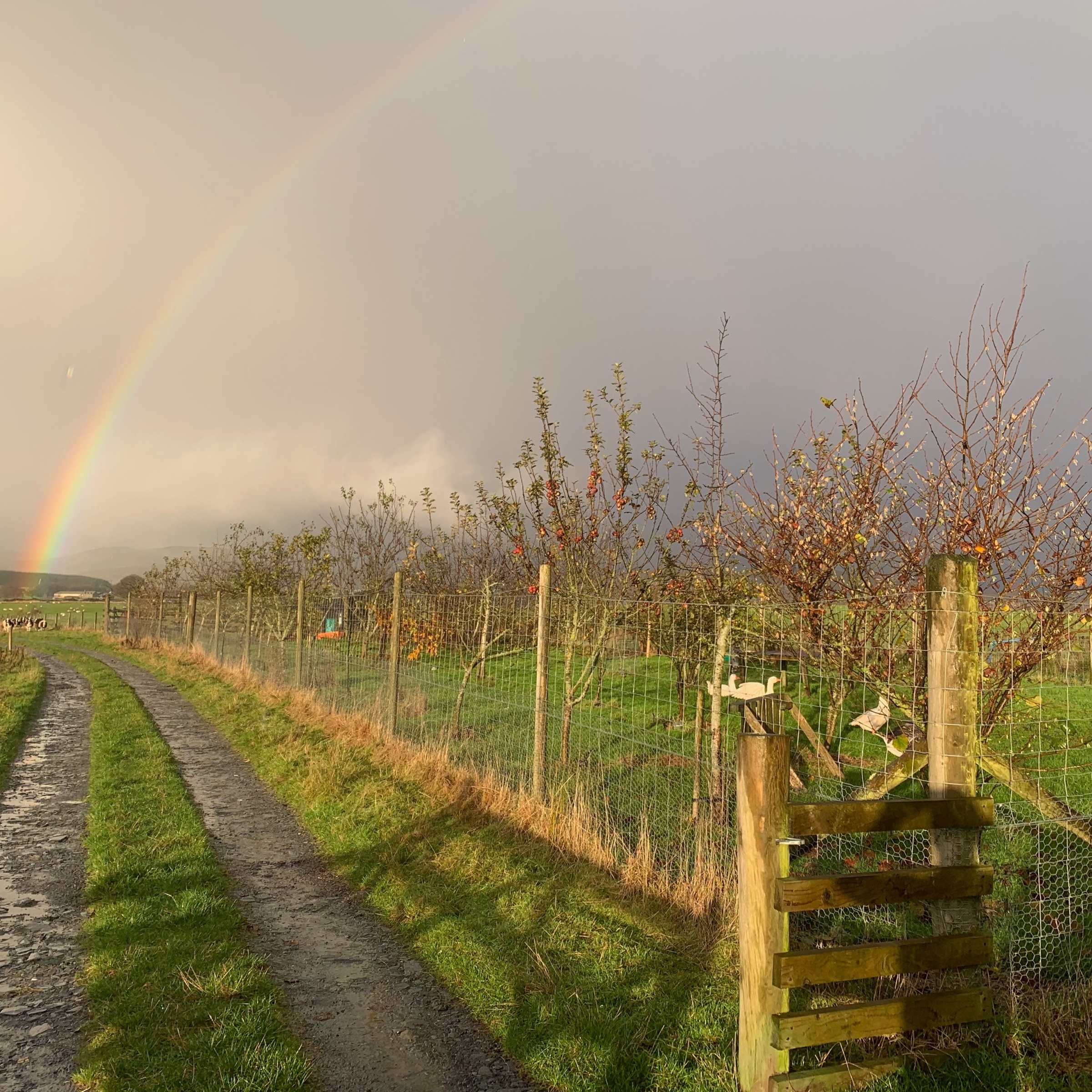 Burmieston Farm & Steading | Go-Rural