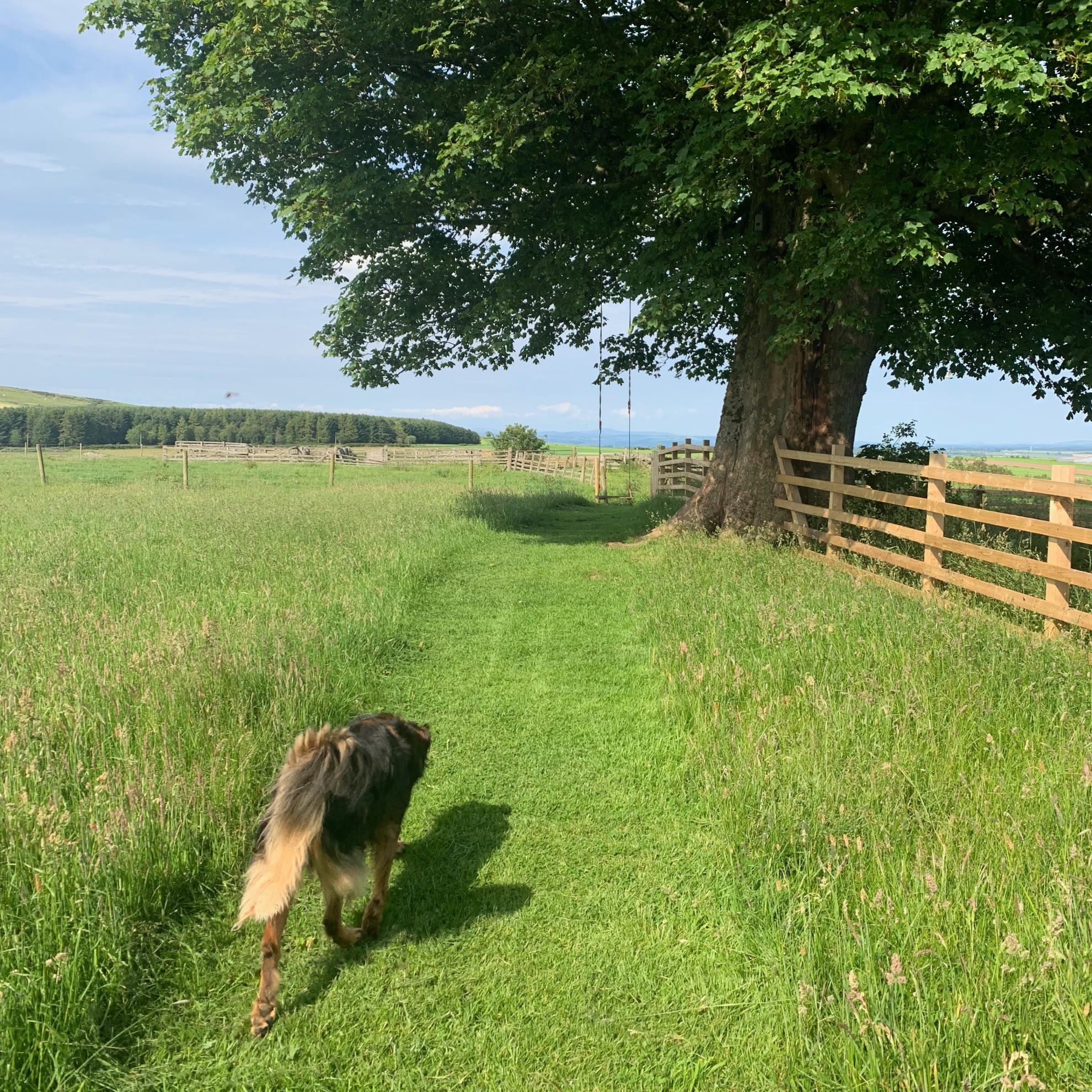 Burmieston Farm & Steading | Go-Rural